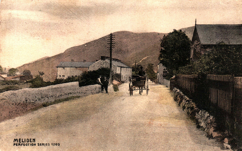 The Gremlin - Meliden Community Association