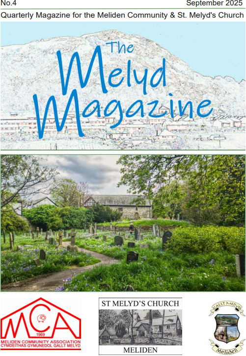 Meliden Community Association - Meliden Community Association